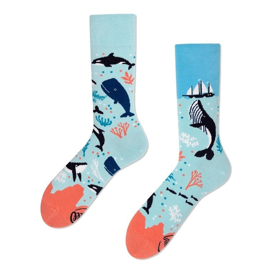 Many Mornings socks Quarter Ocean Life multicolor | BRANDS \ M \ Many ...